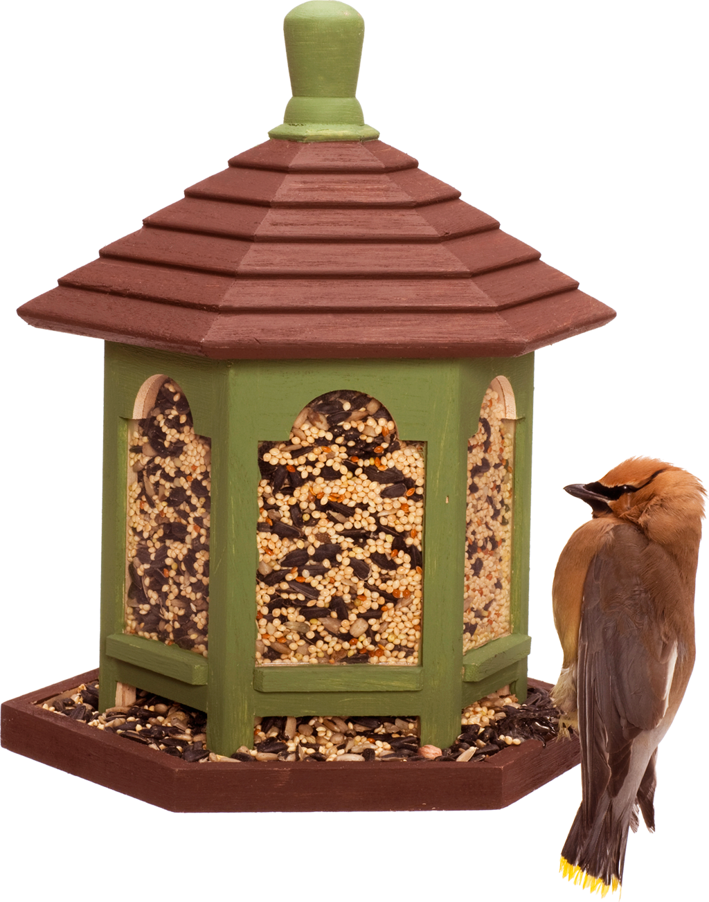 My Pet Store and More | Food, Supplies, Products, Accessories, Toys & more!