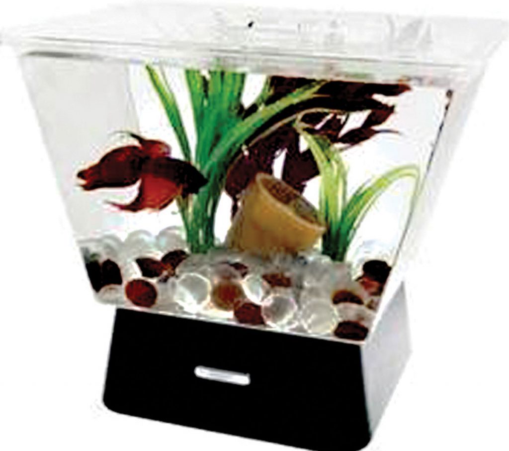 LED BETTA TANK KIT - My Pet Store and More | Pet Supplies & Accessories